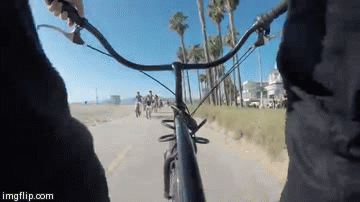 Riding Beach Cruiser - Imgflip