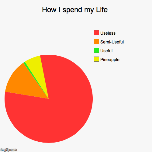 How I spend my Life - Imgflip