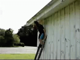 Mullet Elbow Drop - Imgflip