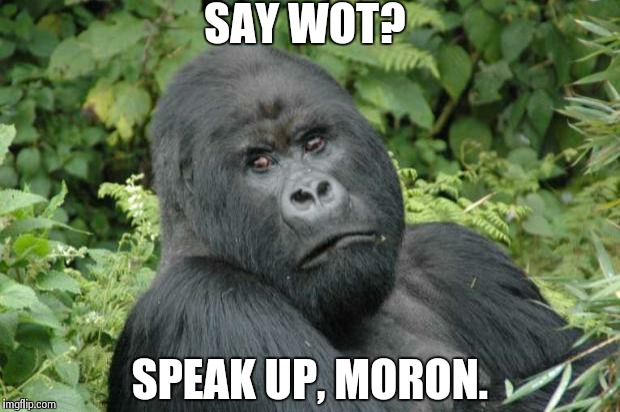 Image tagged in say wot - Imgflip