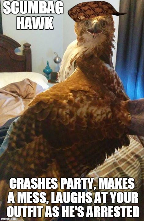 Image tagged in scumbag - Imgflip