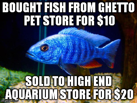 poorfish Memes & GIFs - Imgflip