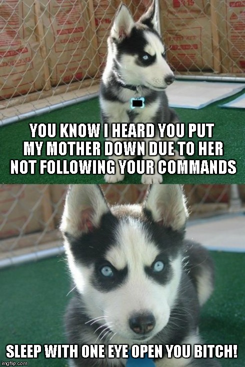 Insanity Puppy Meme - Imgflip