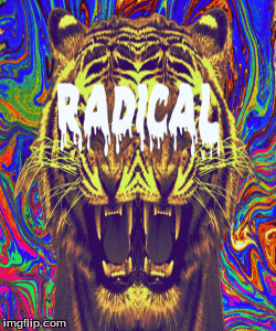Radical - Imgflip
