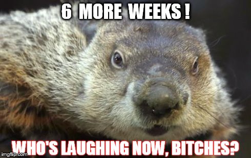 Image tagged in punxsutawny phil - Imgflip