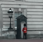 Don't mess with the Royal Guard! - Imgflip