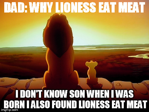 Lion King Meme - Imgflip