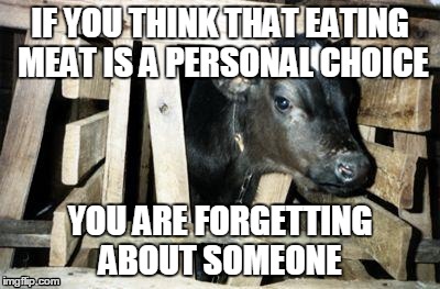 Calf Doomed For Slaughter - Imgflip