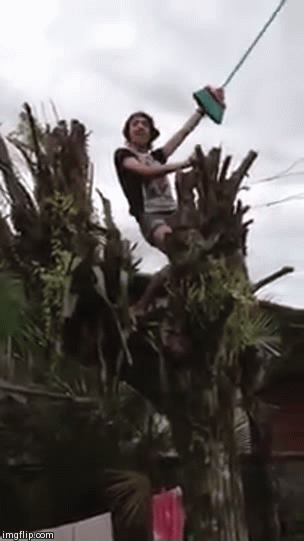 Electrifying Performance - Imgflip