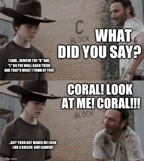 Rick and Carl Meme - Imgflip