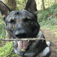 Wait......okay! - Imgflip