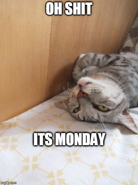 Imgflip