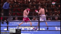 Animated GIF - Imgflip