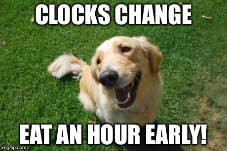 The clock change has messed up my schedule but my dog doesn't mind : r ...