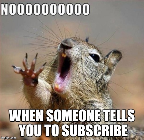 noooooooooooooooooooooooo - Imgflip