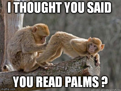 Image tagged in monkey palm reader - Imgflip
