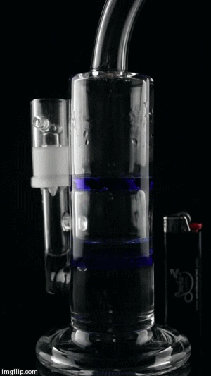 Animated GIF - Imgflip