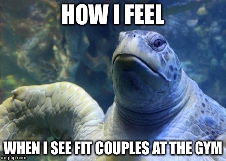 Image tagged in gym turtle - Imgflip