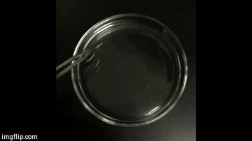 Nucleation - Imgflip