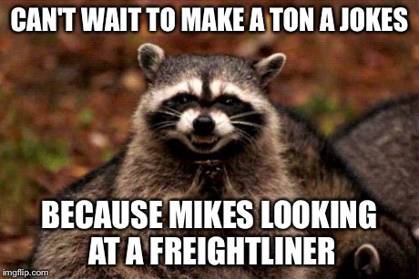 Evil Plotting Raccoon Meme - Imgflip