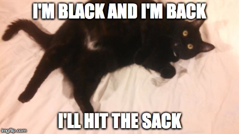 Black Cat - Imgflip