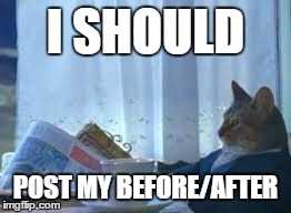 Cat Realisation Memes
