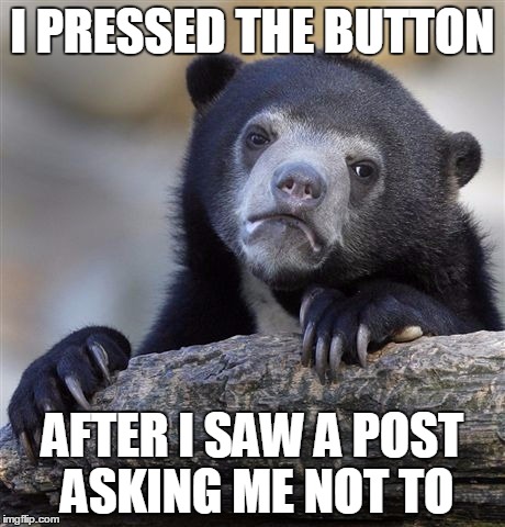 Confession Bear Meme - Imgflip