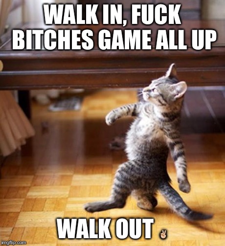 Cool Cat Stroll Meme - Imgflip