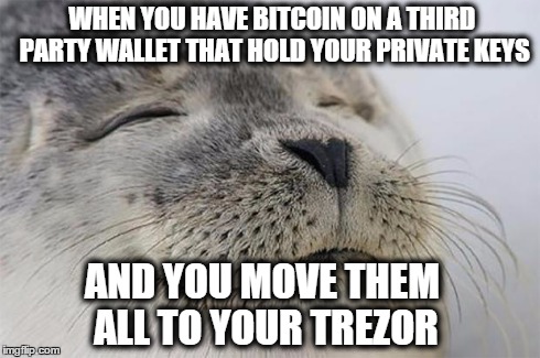 Satisfied Seal Meme - Imgflip