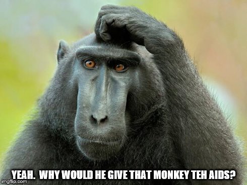 monkey scratch - Imgflip