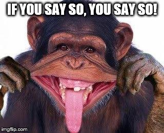 Image tagged in monkey - Imgflip