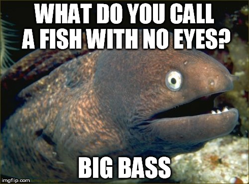 Bad Joke Eel Meme - Imgflip