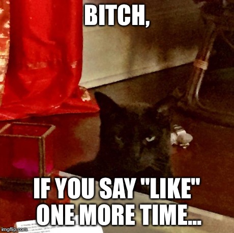 Image tagged in biatch - Imgflip