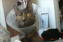 Hey! Ohhhh!!! Ahh Hah! - Imgflip