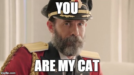 Image tagged in captain obvious,grumpy cat - Imgflip