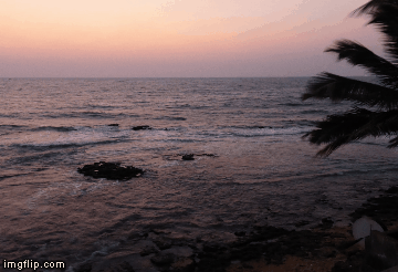 sunset anjuna goa india www.tharobster.wordpress.com - Imgflip