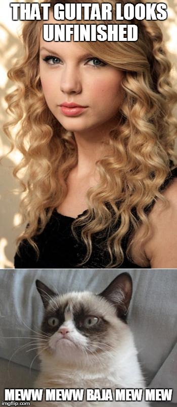 Grumpy Cat on Taylor Swift as NYC's Global Welcome Ambassador - Imgflip