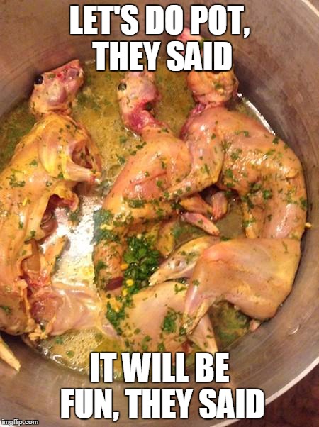 Image tagged in rabbit_pot - Imgflip