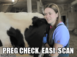 Animated GIF - Imgflip