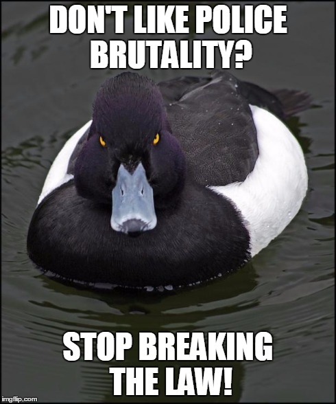 Angry duck - Imgflip