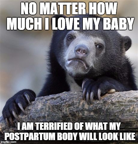 Confession Bear Meme - Imgflip