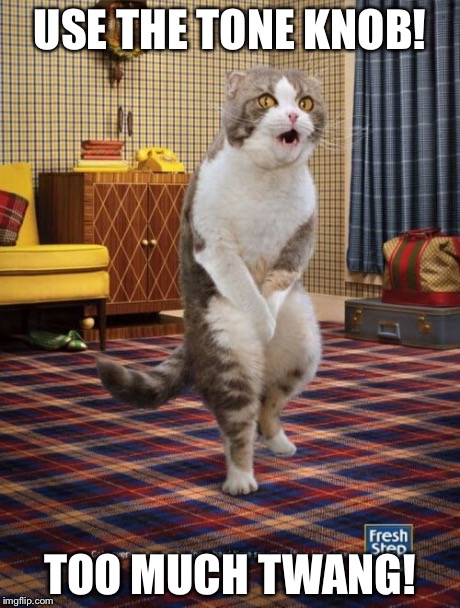 Gotta Go Cat Meme - Imgflip