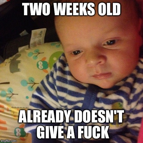 Image tagged in completely disinterested baby - Imgflip