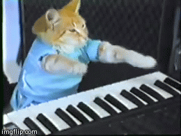 Keyboard Cat - Imgflip