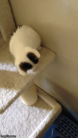 Wat is dis - Imgflip