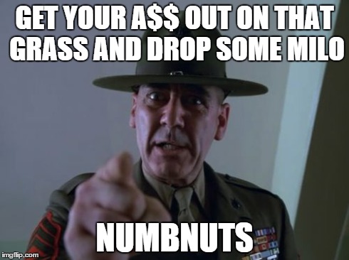 Sergeant Hartmann Meme - Imgflip
