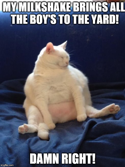 Image tagged in milkjug,fat cat - Imgflip