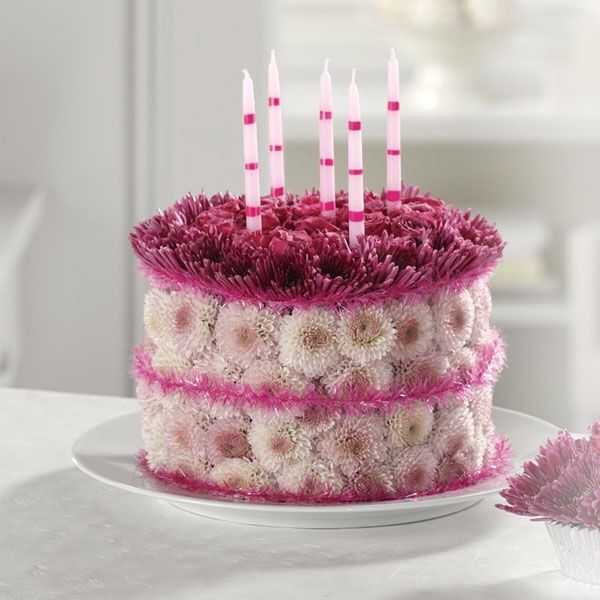 Birthday Cake Blank Template Imgflip