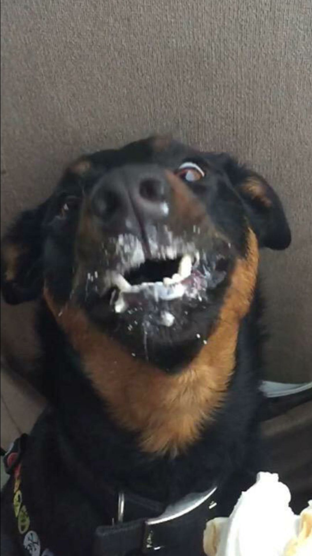 Blowjob Mouth Blank Template Imgflip