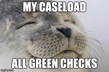 Caseload Memes
